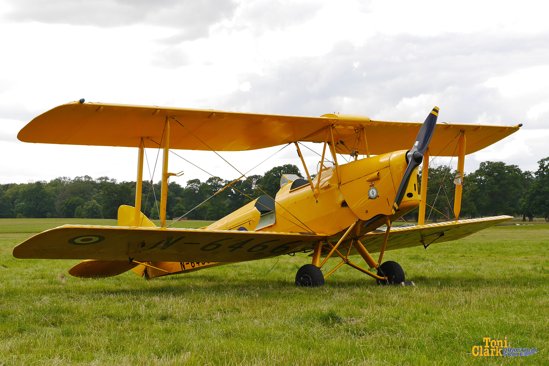 4. Gallery Tiger Moth 3,19 – Toni Clark pratical scale GmbH